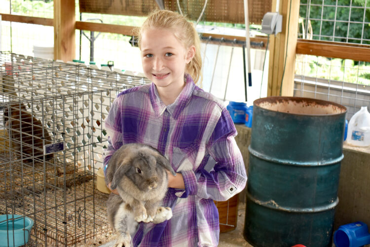 Rabbit judging | News, Sports, Jobs - Morning Journal